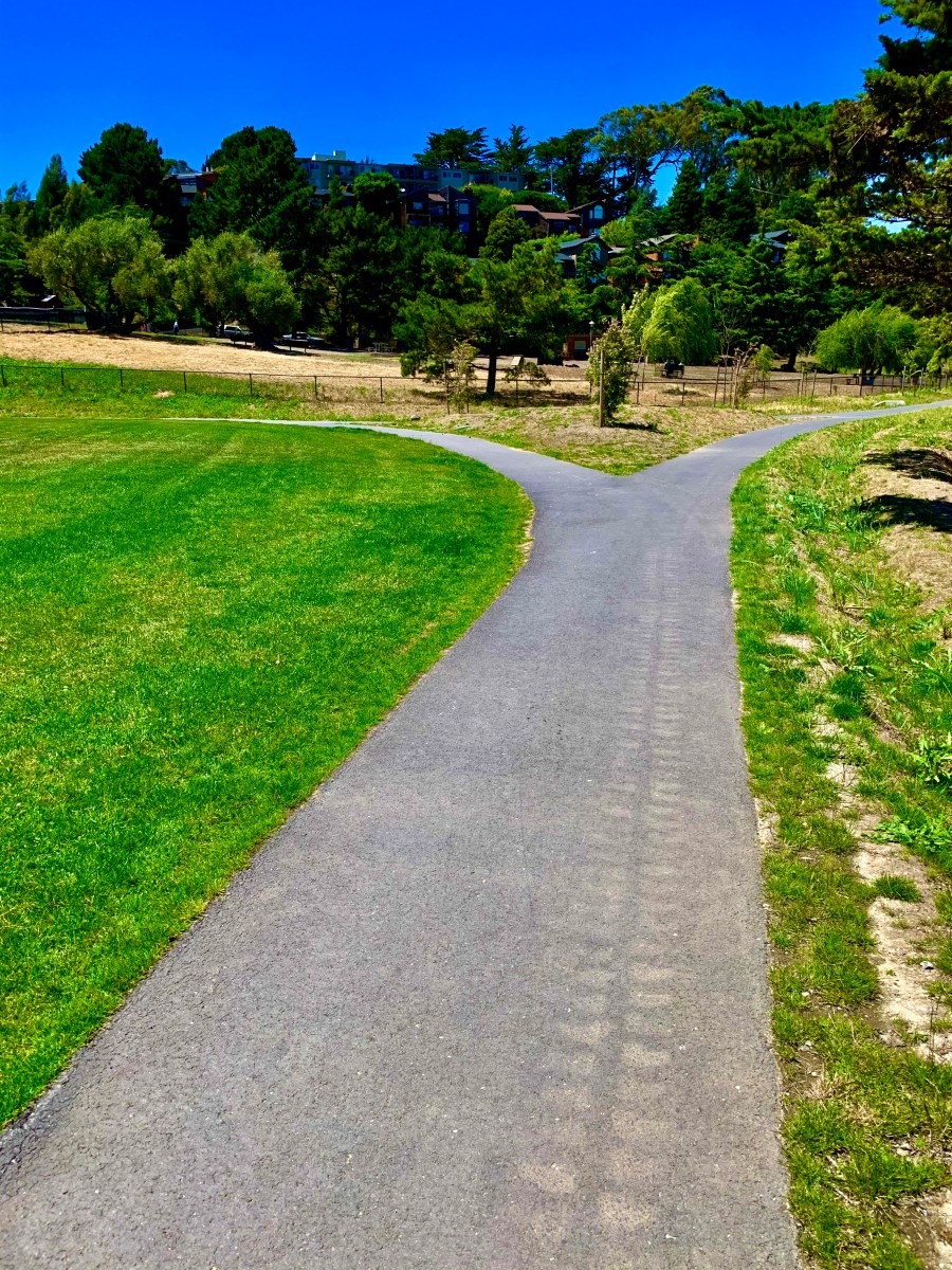 Taking a Different Path – Golden Ave Literature